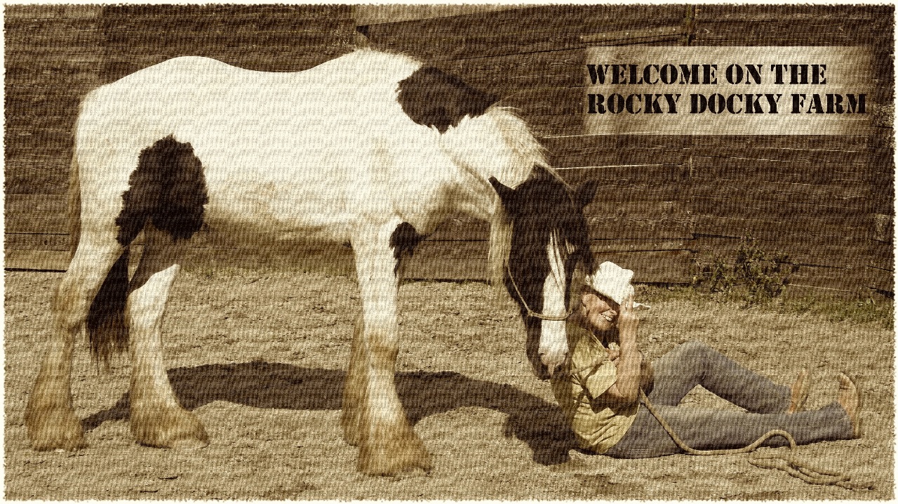 Rocky-Docky-Farm